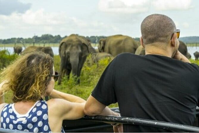 Sigiriya, Dambulla and Habarana Safari , Budget Tour from Colombo - Exploring Each Stop in Detail