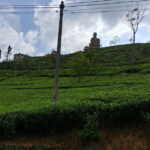 Sigiriya, Kandy, Ella : Explore Sri Lanka's Attractions Tour - Practical Details and What’s Included