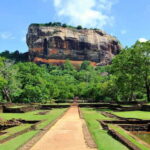 Sigiriya Lion Rock & Minneriya National Park Elephant Safari - Authentic Experience and Reviews