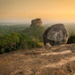 Sigiriya & Minneriya Safari Tour from Dambulla - Wildlife Encounter at Minneriya National Park