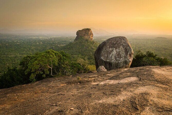 Sigiriya & Minneriya Safari Tour from Dambulla - Wildlife Encounter at Minneriya National Park
