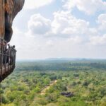 Sigiriya Rock and Wild Elephant Safari from Habarana - What We Think: The Strengths and Considerations