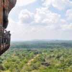 Sigiriya Rock and Wild Elephant Safari from Negombo - Summary