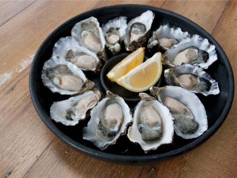 Signature Bruny Island Tour - Hobart & SE Tasmania - Who Will Love This Tour?