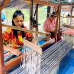 Silk Island Cruise and Tours with English Speaking Guide - A Detailed Look at What to Expect