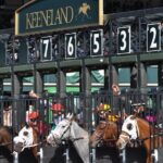 Silks and Celebrations Tailgate Experience - Who Would Enjoy This Tour?