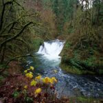 Silver Falls Private Hike Tour - FAQs