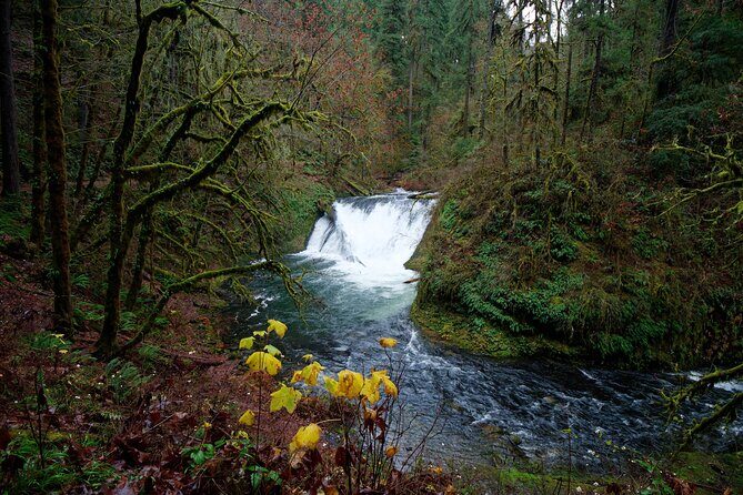 Silver Falls Private Hike Tour - FAQs