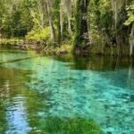 Silver Springs: Clear Kayaking Wildlife Tour - A Closer Look at the Silver Springs Wildlife Kayaking Tour