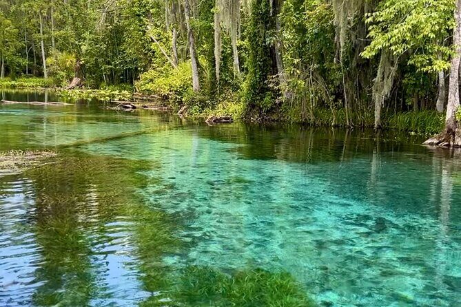 Silver Springs: Clear Kayaking Wildlife Tour - A Closer Look at the Silver Springs Wildlife Kayaking Tour