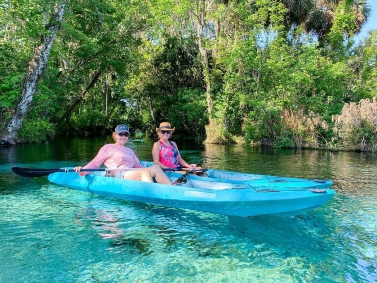 Silver Springs: Glass Bottom Kayak and Wildlife Tour - What You Can Expect During the Tour