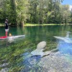 Silver Springs: Manatees, Monkeys, and Natural Spring Tour - Analyzing the Value