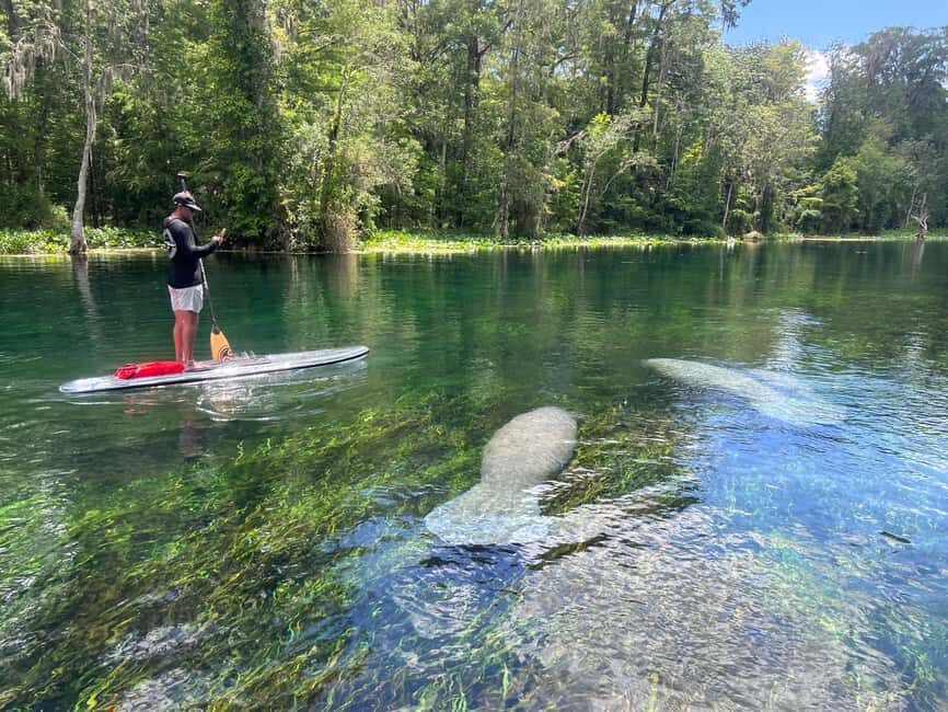 Silver Springs: Manatees, Monkeys, and Natural Spring Tour - Analyzing the Value