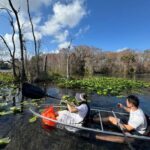 Silver Springs: Silver River Guided Kayak Tour - Who Would Love This Tour?