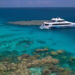 Silversonic Outer Great Barrier Reef Cruise from Port Douglas - Final Thoughts: Who Is This Tour Best For?