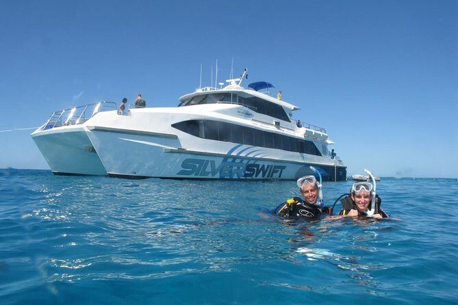 Silverswift Dive and Snorkel Great Barrier Reef Cruise - The Authenticity and Value