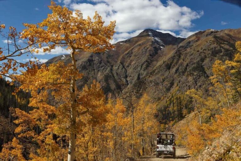 Silverton Half Day Jeep Tour - Why Choose This Tour?
