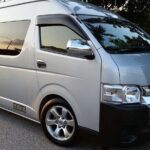 Singapore Arrival Transfer (Airport to Hotel) - The Meet-and-Greet Experience