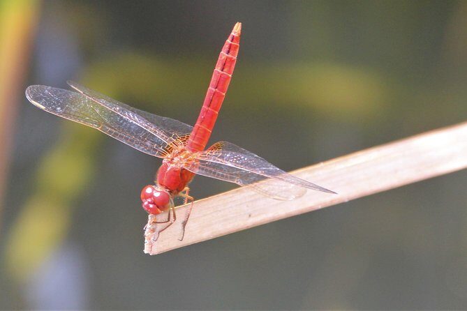 Singapore - bike adventure beyond the concrete jungle - FAQs