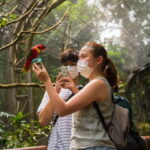 Singapore: Bird Paradise Entry Ticket - Highlights That Make a Difference