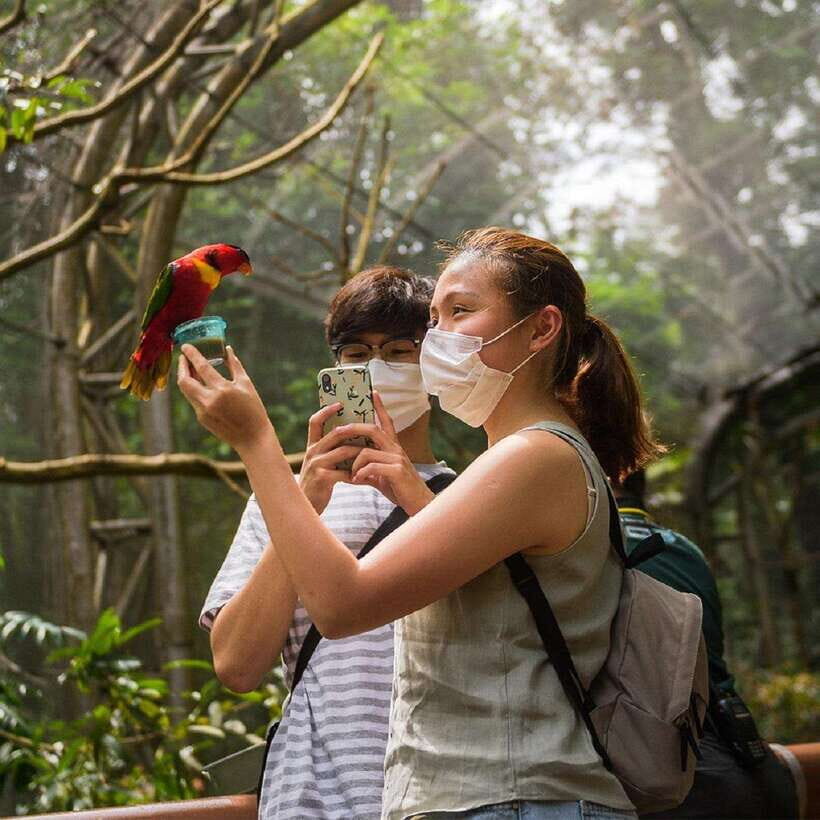 Singapore: Bird Paradise Entry Ticket - Highlights That Make a Difference