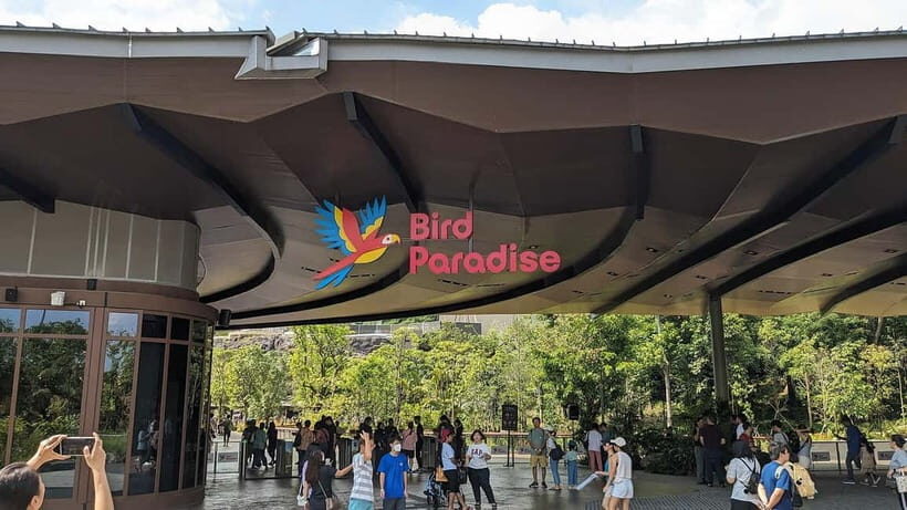 Singapore: Bird Paradise - Who Will Love This Tour?