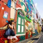 Singapore: Chinatown and Little India Guided Walking Tour - Who Will Love This Tour