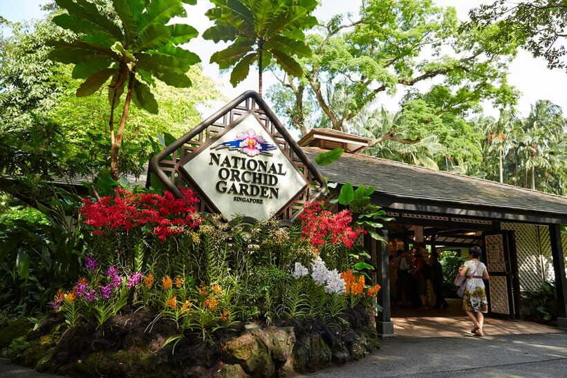 Singapore: National Orchid Garden Admission - Who Will Love the National Orchid Garden?