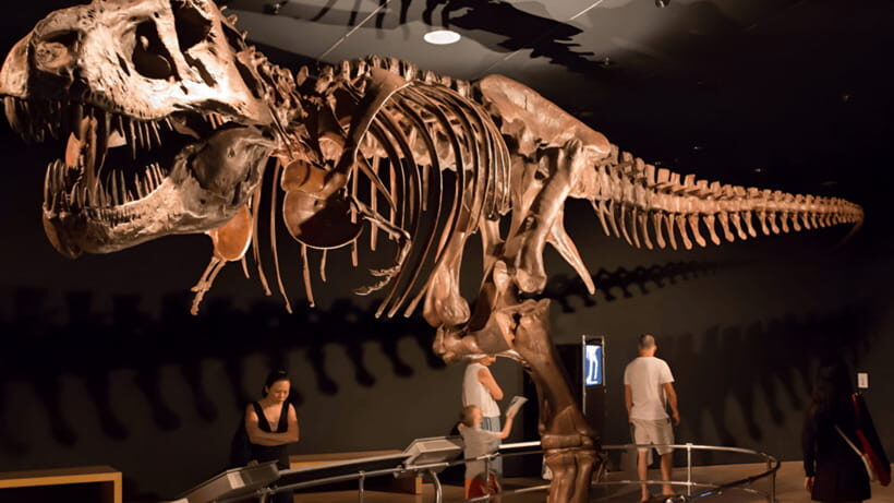 Singapore: Omni Theatre IMAX Show Admission Ticket - Why You Should Consider Visiting