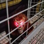 Singapore: Trapped Escape Room Entry Ticket - Why Trapped Works for Different Travelers