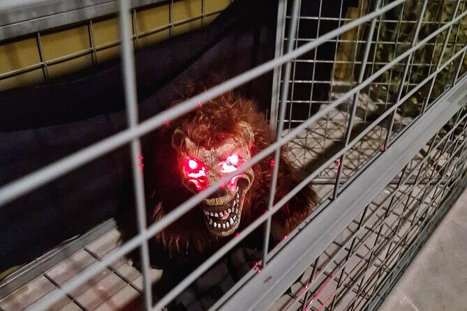 Singapore: Trapped Escape Room Entry Ticket - Why Trapped Works for Different Travelers
