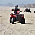Single ATV Tour from Migriño Beach & Desert - An In-Depth Look at the Experience