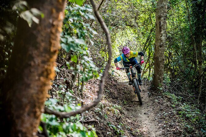 SINGLETRACK MOUNTAIN BIKE - Guided through the jungle - The Highlights of the Tour: Scenic Rest Stops and Local Flavors