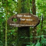 Sinharaja Rain Forest Guided Day Tour From Colombo and Negombo - Who Is This Tour Best For?