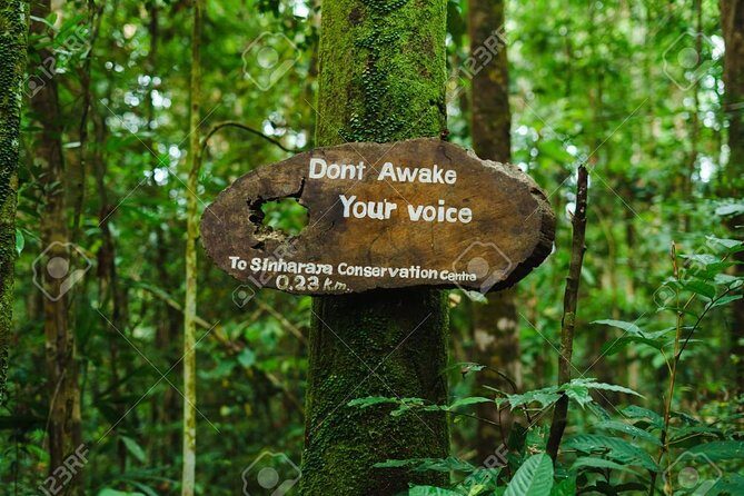 Sinharaja Rain Forest Guided Day Tour From Colombo and Negombo - Who Is This Tour Best For?