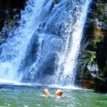 Sinharaja Rainforest Tour - A Full Breakdown of the Sinharaja Rainforest Tour