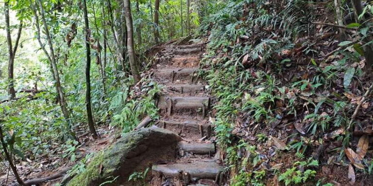 Sinharaja Rainforest Tour - The Itinerary Breakdown