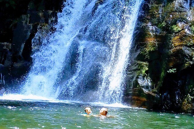 Sinharaja Rainforest Tour - A Full Breakdown of the Sinharaja Rainforest Tour