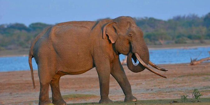sinharaja udawalawa two days Tour - A Deep Dive into the Tour Itinerary