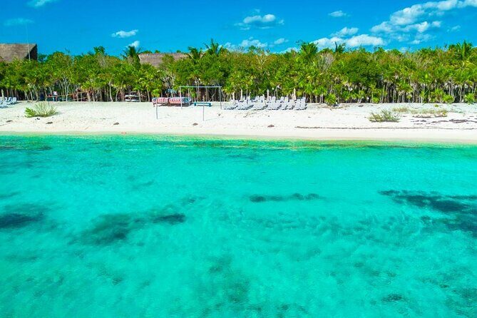 Sip and Sea A Mexican Mixology Escape - Why This Tour Works