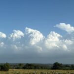 Sip Like a Local Private Wine Tours by Native Experts - Why Travelers Love This Tour