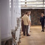 Sirromet Winery Tour and Taste and 2 Course Lunch - FAQ