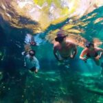 Sisal: Picnic PREMIUM en medio del mar y snorkel manantial - Who Is This Tour Best For?