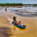 Sisal Yucatán: Flamingo Safari Tour Mangroves - What Makes This Tour Stand Out