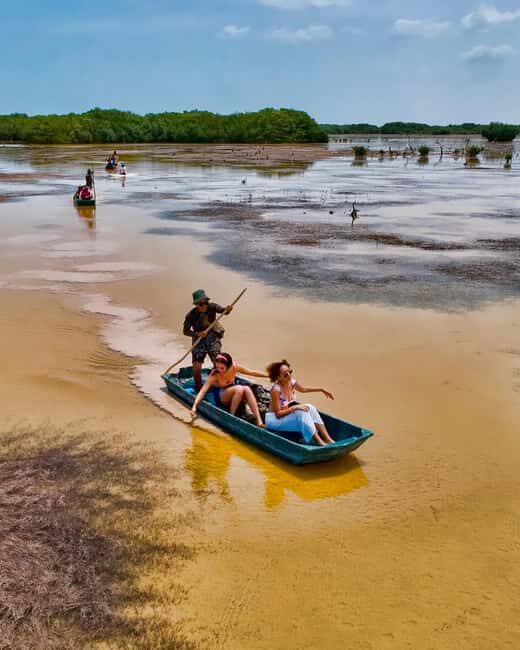 Sisal Yucatán: Flamingo Safari Tour Mangroves - What Makes This Tour Stand Out