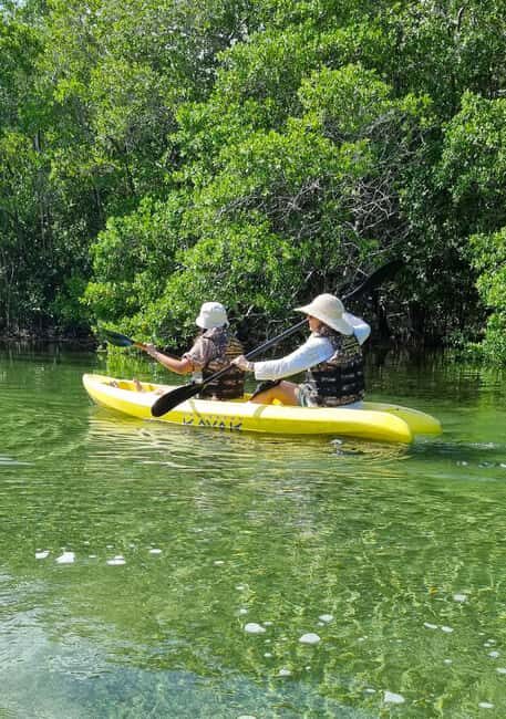 Sisal Yucatán: Snorkeling in a jungle spring and mangrove exploration - FAQ