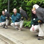 Sitka: Alaska Raptor Center Admission Ticket - Authentic Experiences Highlighted by Visitors