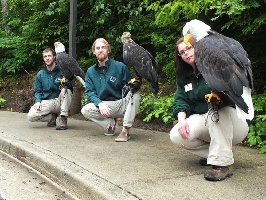 Sitka: Alaska Raptor Center Admission Ticket - Authentic Experiences Highlighted by Visitors