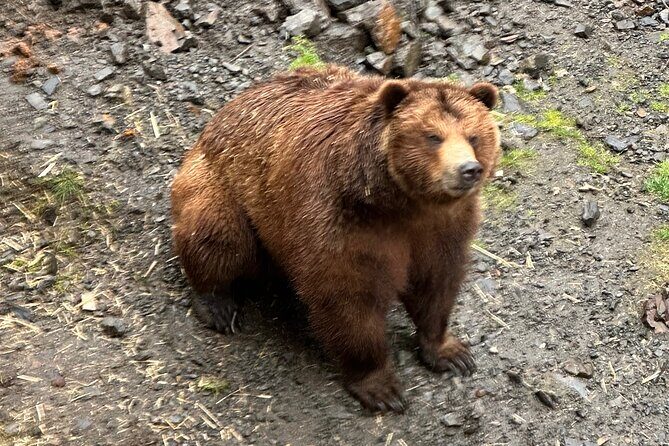 Sitka Scenic Private Tour - Transportation and Comfort