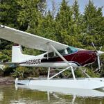 Sitka Sound Private Seaplane Tour Experience - Who Should Consider This Tour?